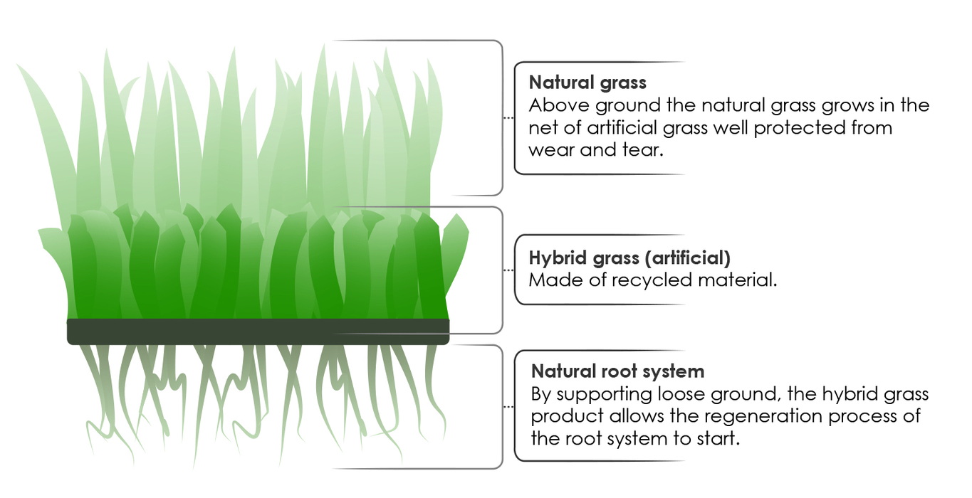 Hybrid grass Premium, 1x1m [570] - 34,29 EUR : Grimsholm